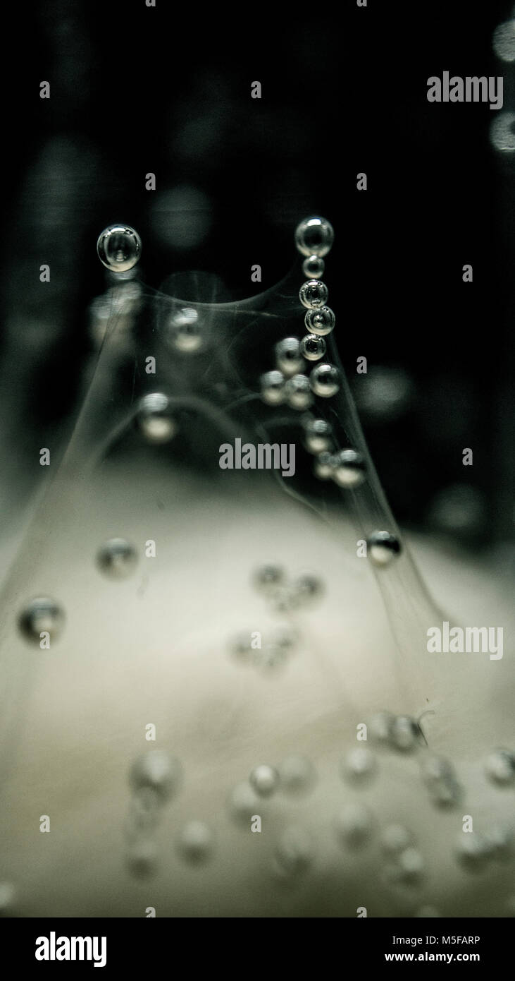 Abstract Water with egg yolk Stock Photo - Alamy