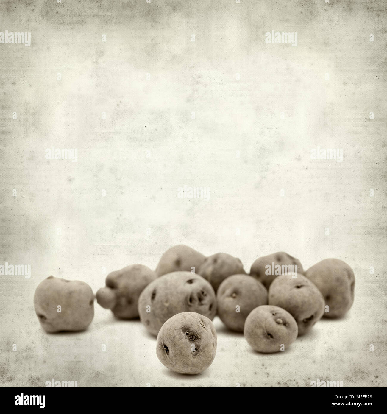 textured old paper background with small dark Canary Islands potatoes ...