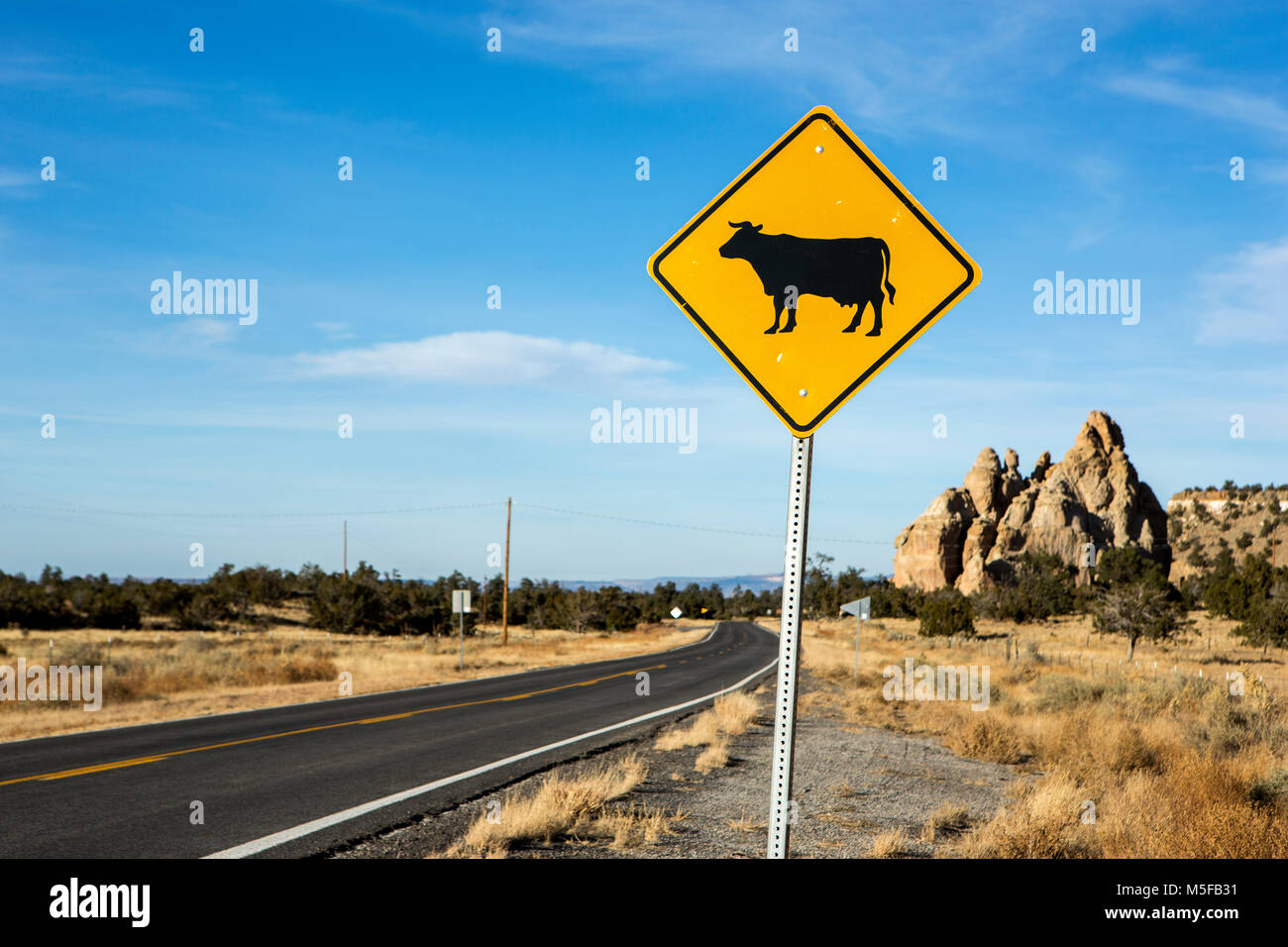 Cattle warning sign Stock Photo - Alamy