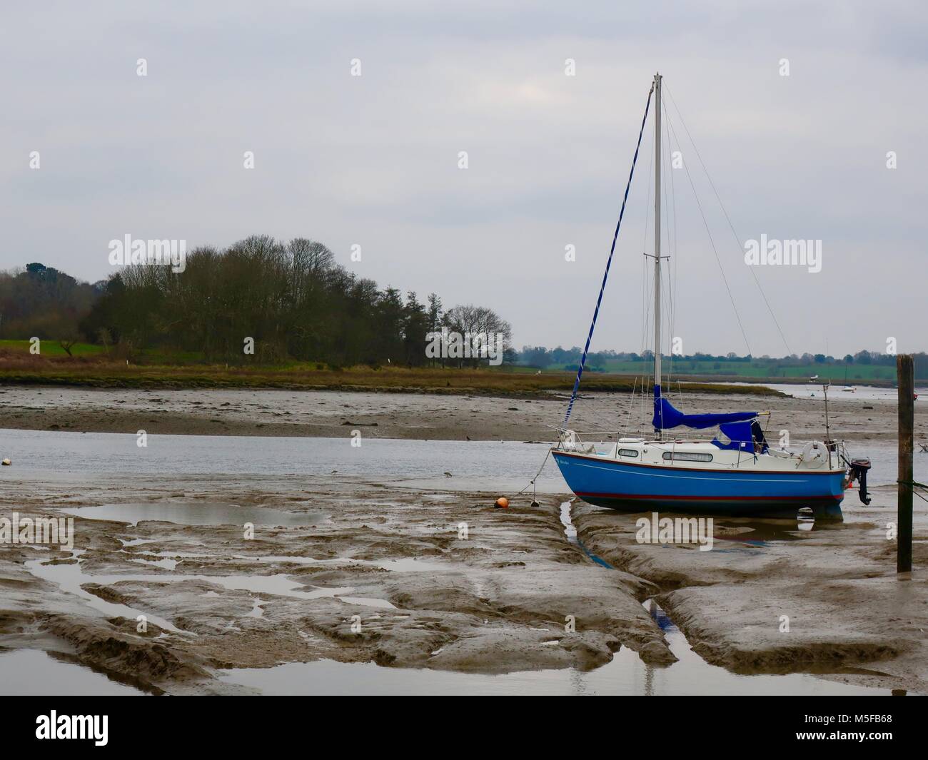 A sailing boat / dinghy moored in the muddy River Deben at low tide ...