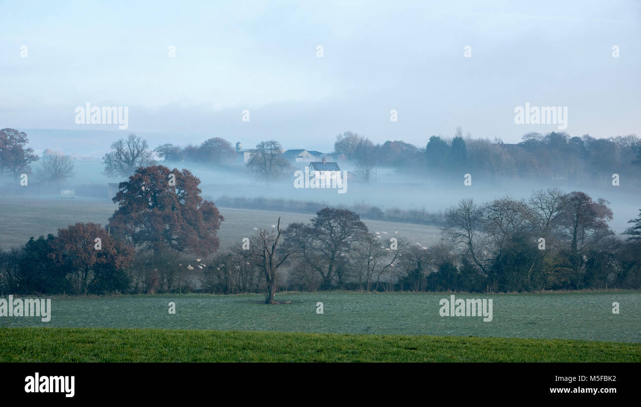 Forming setting hi-res stock photography and images - Alamy