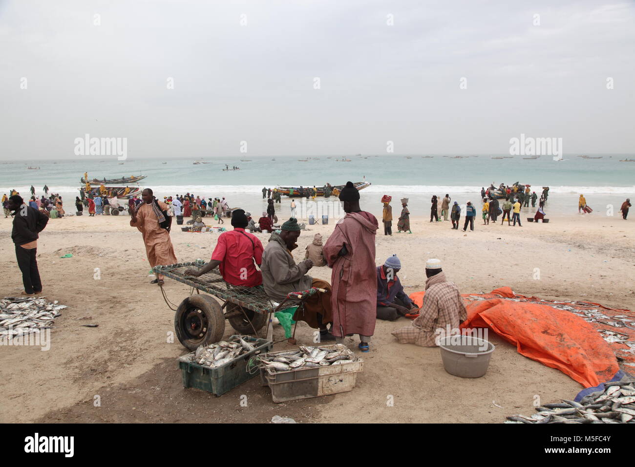Mauritania nouakchott fish market hi-res stock photography and images ...