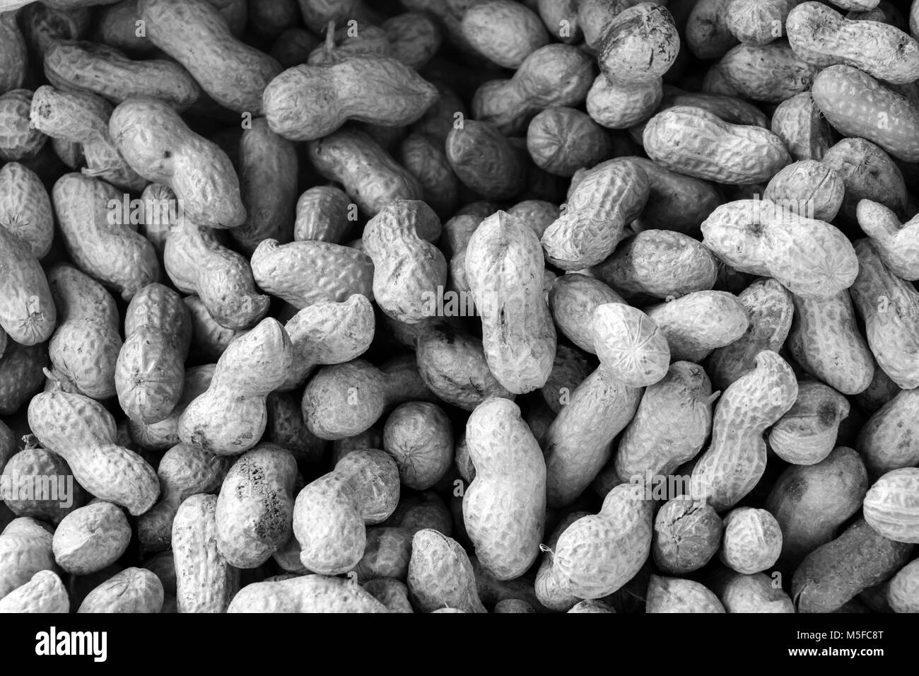 Peanuts Black And White