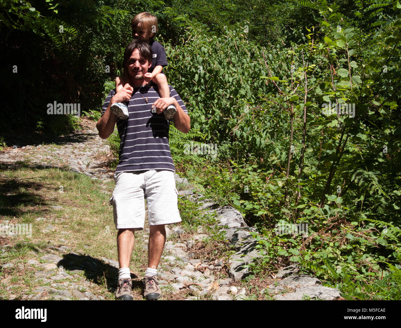 father with son on his shoulders comes down from a forest path on a ...