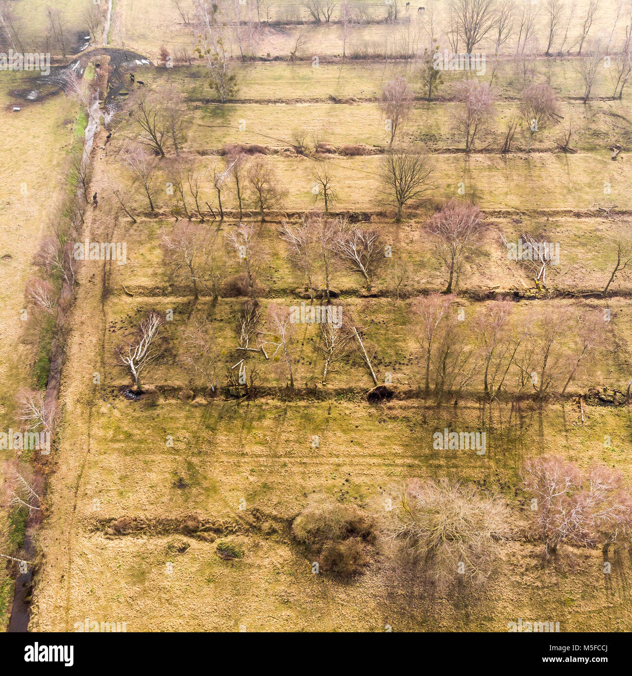 Dyke irrigation farm farming agriculture hi-res stock photography and ...