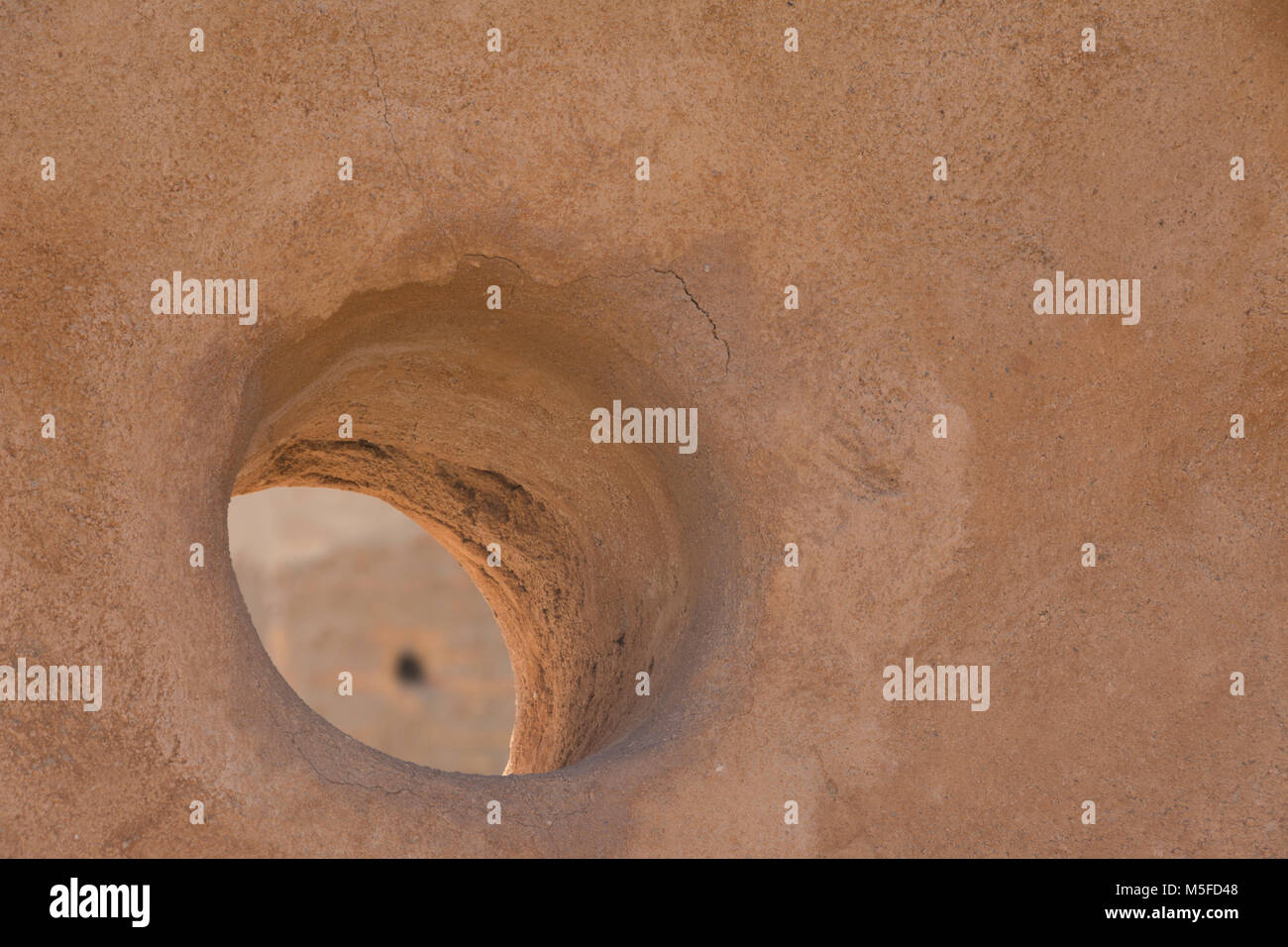 Empty hole from log hi-res stock photography and images - Alamy