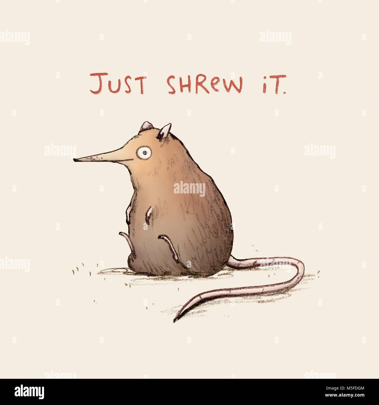 How To Draw A Shrew