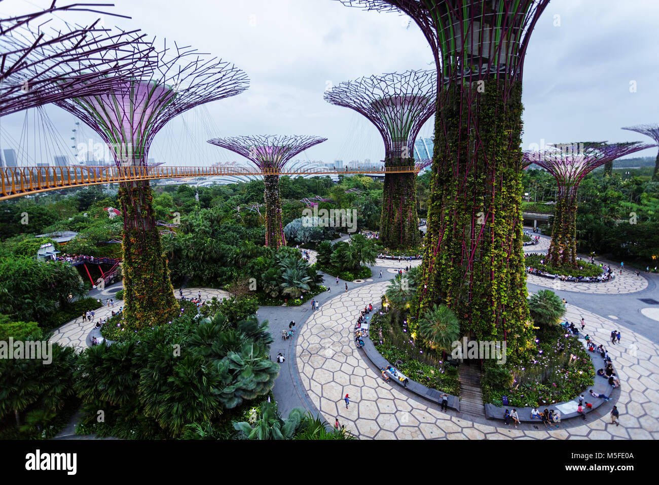 Supertree Grove at Gardens by the Bay by night, Singapore Stock Photo ...