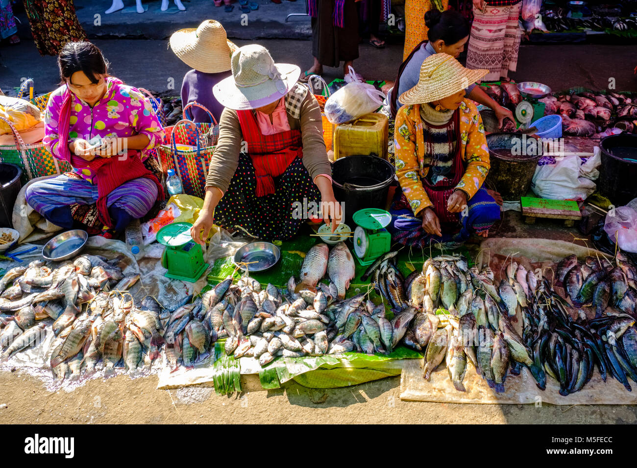 Local fishermans women are selling fresh fish in the street market of ...