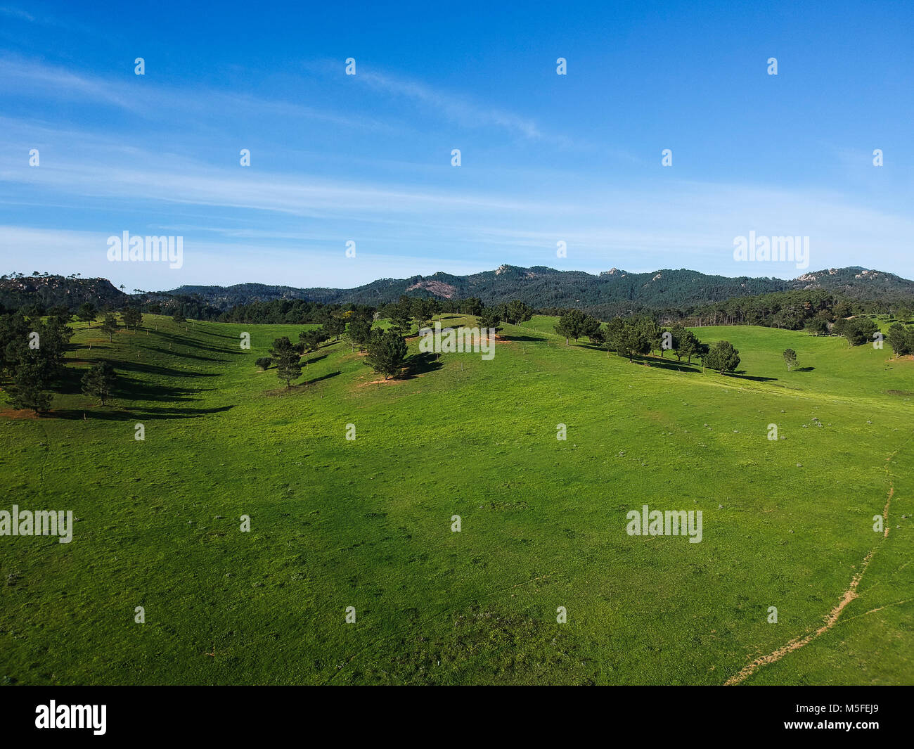 Aerial view from a green field with trees and a mountain in background ...