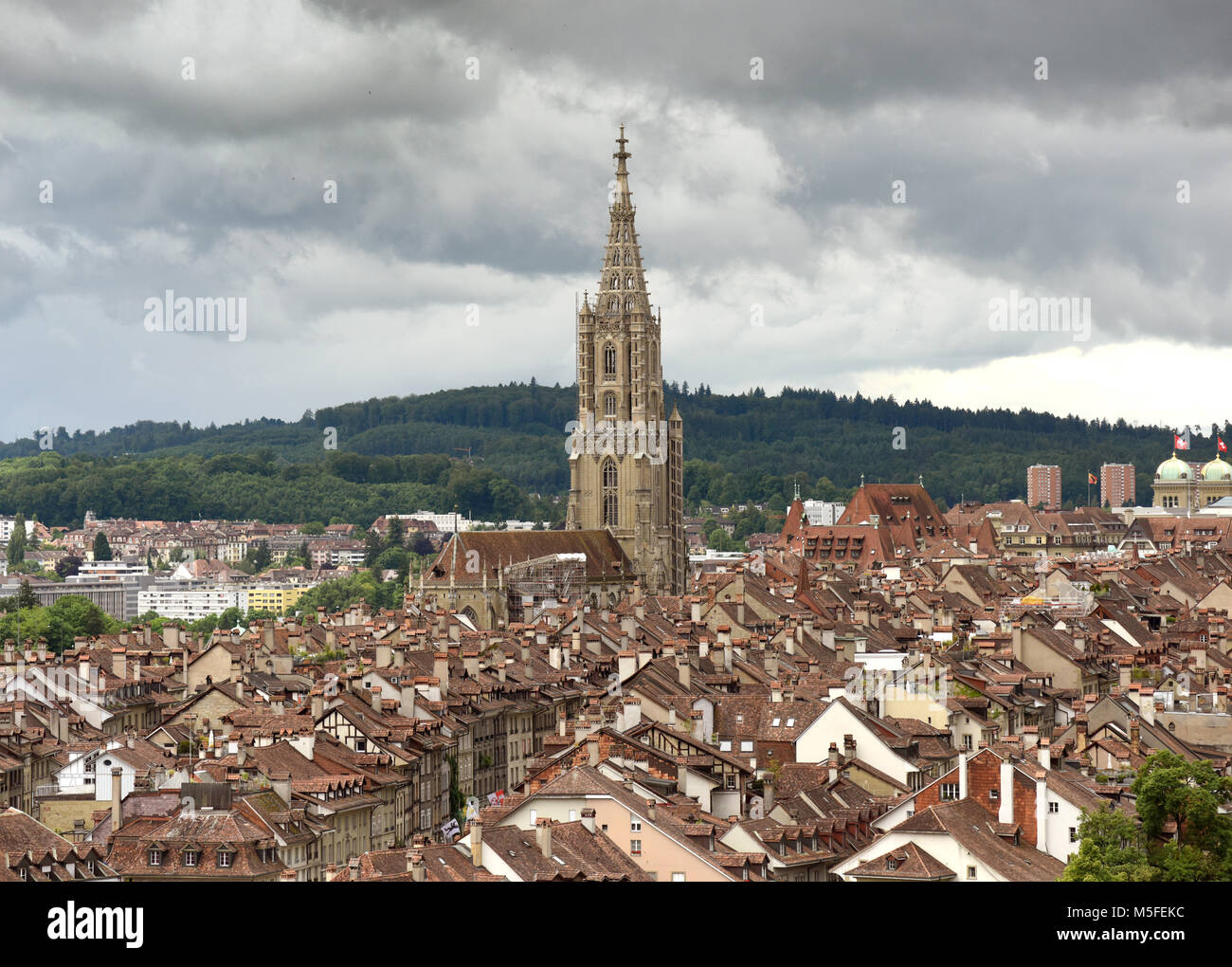 Berner munster hi-res stock photography and images - Alamy