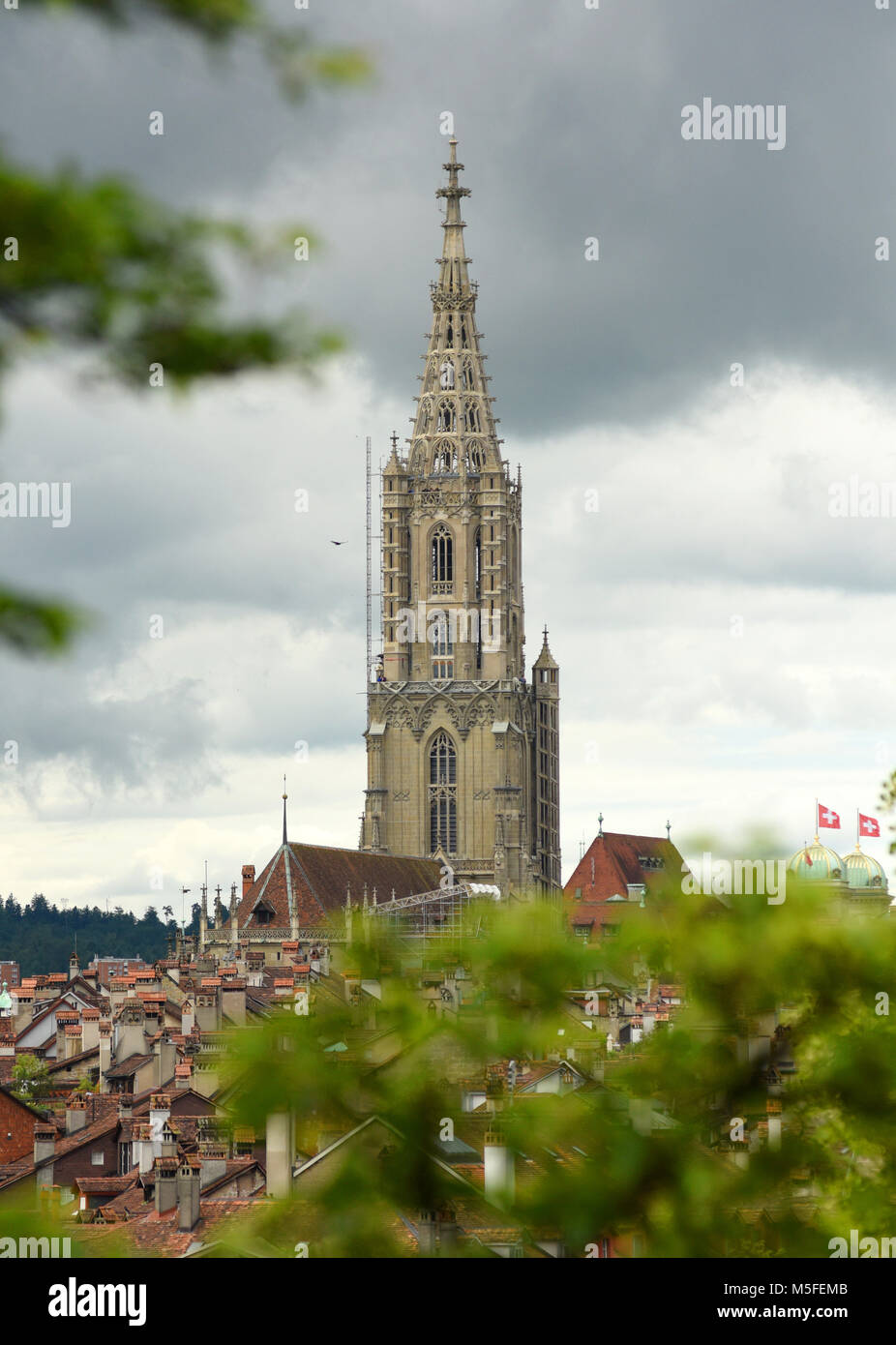 The Muenster cathedral of Berne (Berner Muenster) in the old city of ...