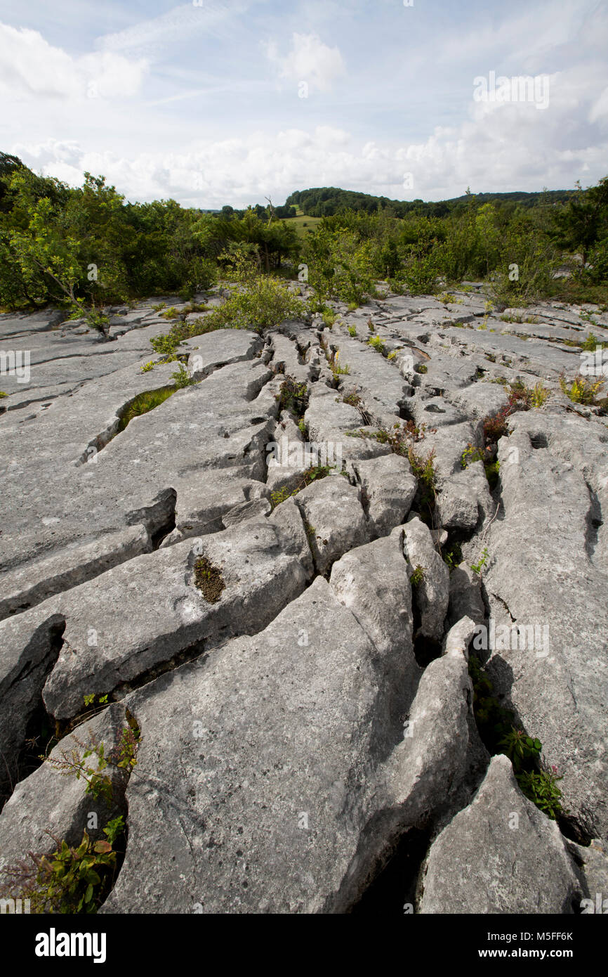 Limestone pavements and vegetation at Gait Barrows near Silverdale ...