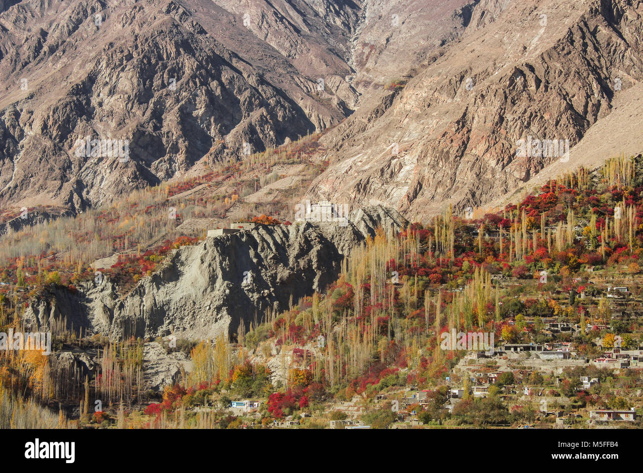 Trees on mountain showing colors of autumn Stock Photo - Alamy