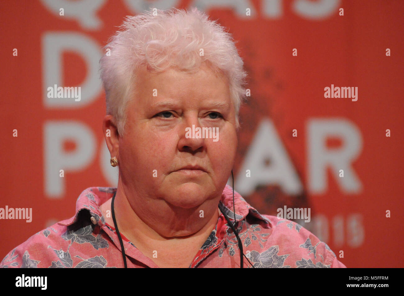 NovelistVal Mac Dermid attends Quais du Polar Literary Festival. Lyon ...