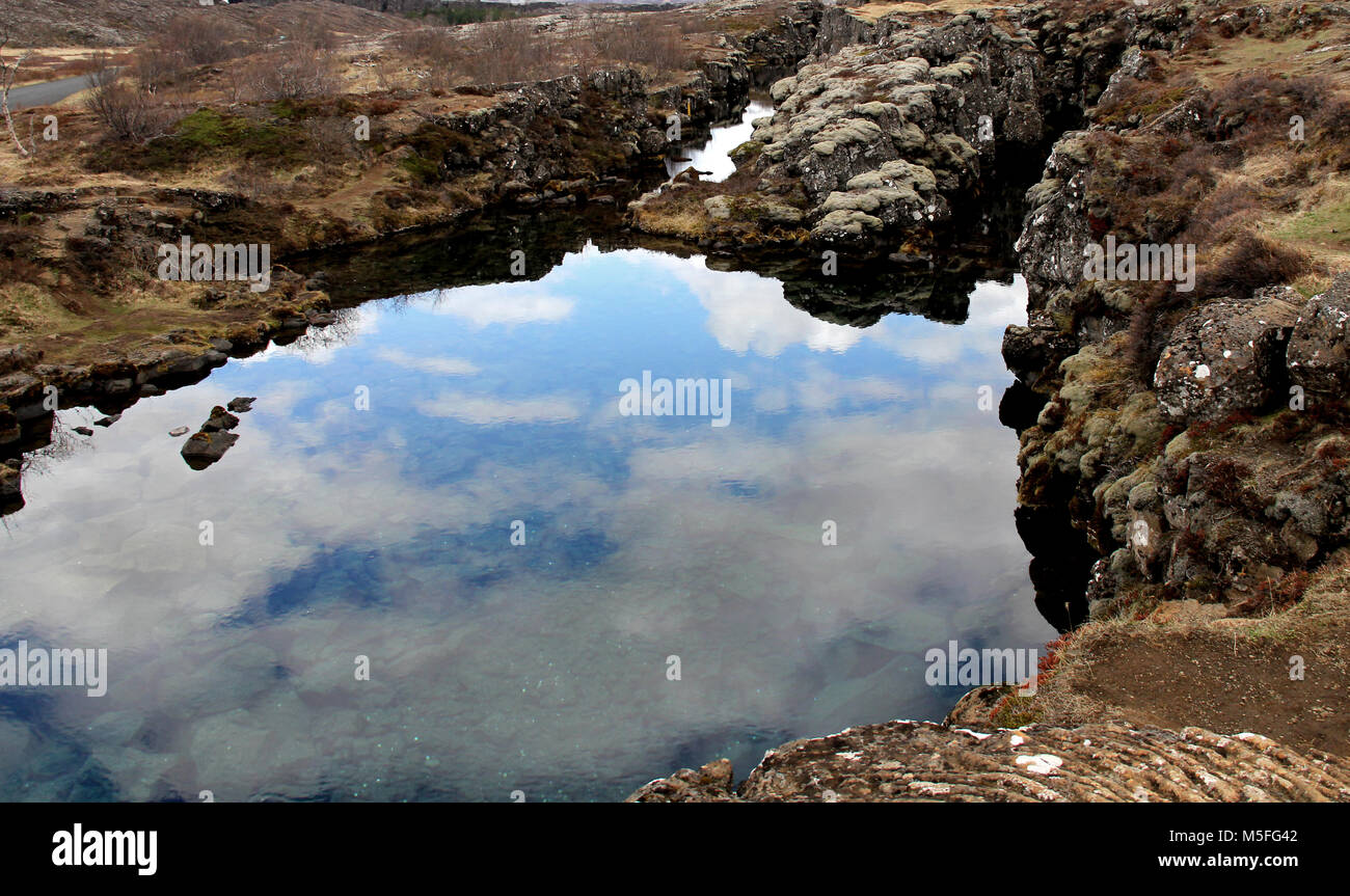 Mirror reflection in pond hi-res stock photography and images - Alamy