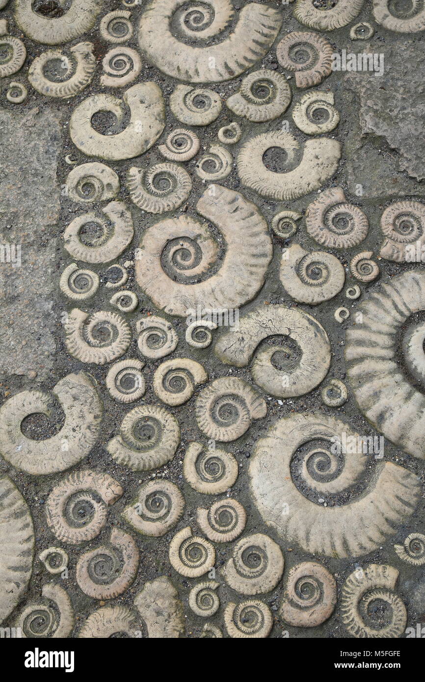 Ornamental Coade stone work in the form of fossil ammonites. Detail of ...