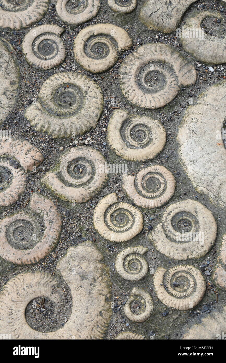 Ornamental Coade stone work in the form of fossil ammonites. Detail of ...
