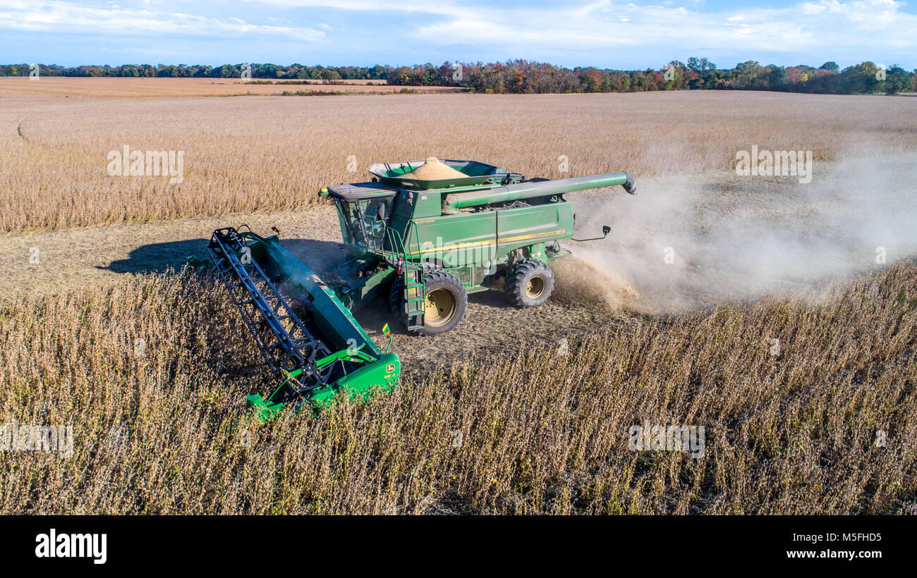 Aerial view of combine harvester driving through rows of soybeans and ...