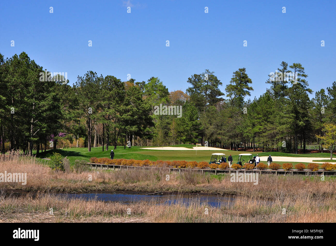 Golfing in the long grass hi-res stock photography and images - Alamy