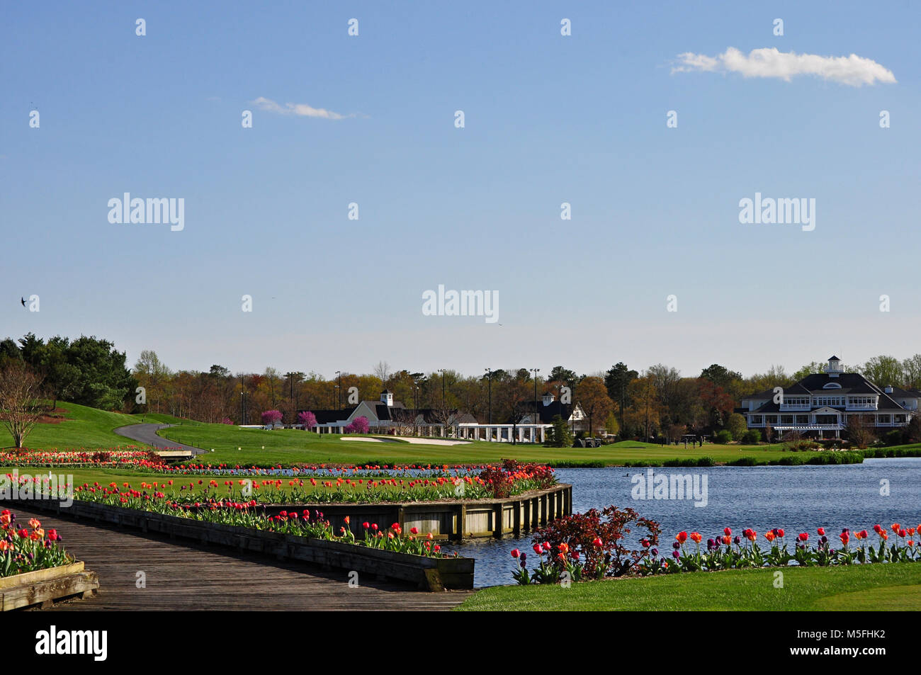 Baywood Greens, Long Neck, Delaware - Golf course information and reviews.