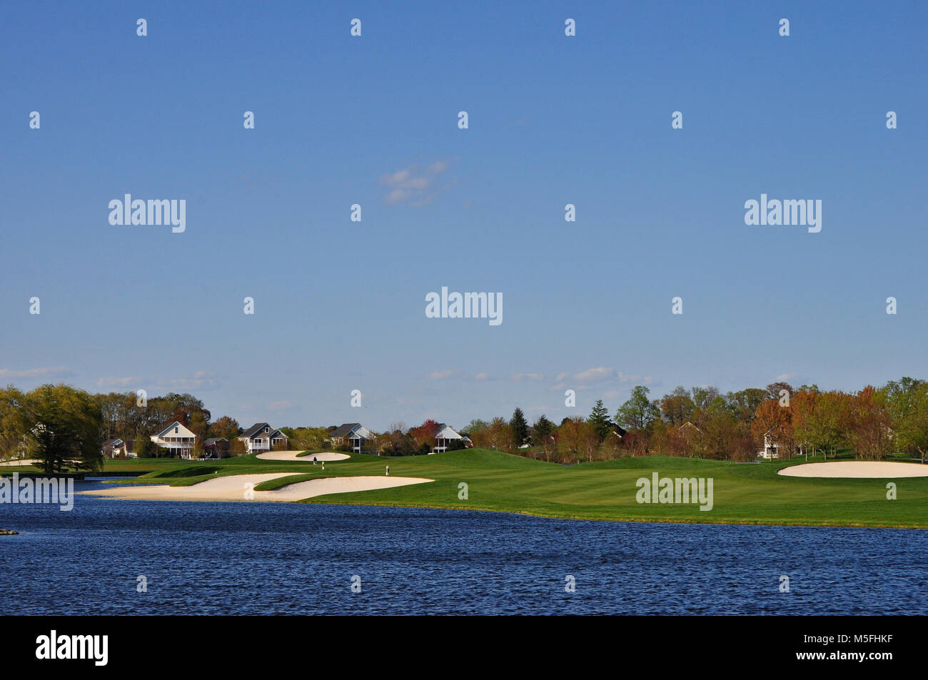 Baywood hi-res stock photography and images - Alamy