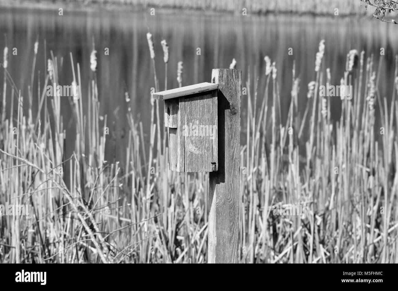 Landing green Black and White Stock Photos & Images - Alamy
