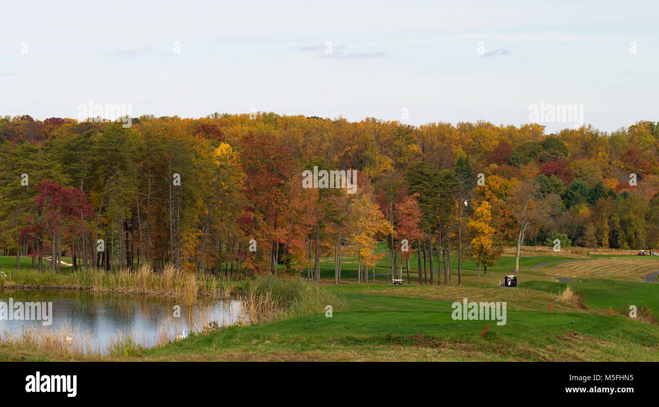 Beautiful mountain branch golf hi-res stock photography and images - Alamy