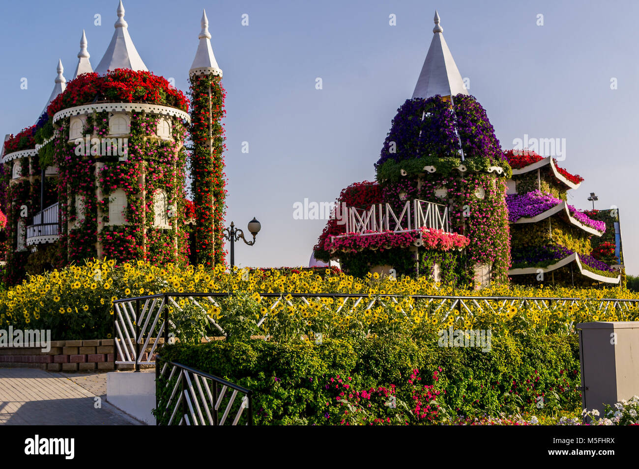 Dubai miracle garden view hi-res stock photography and images - Alamy