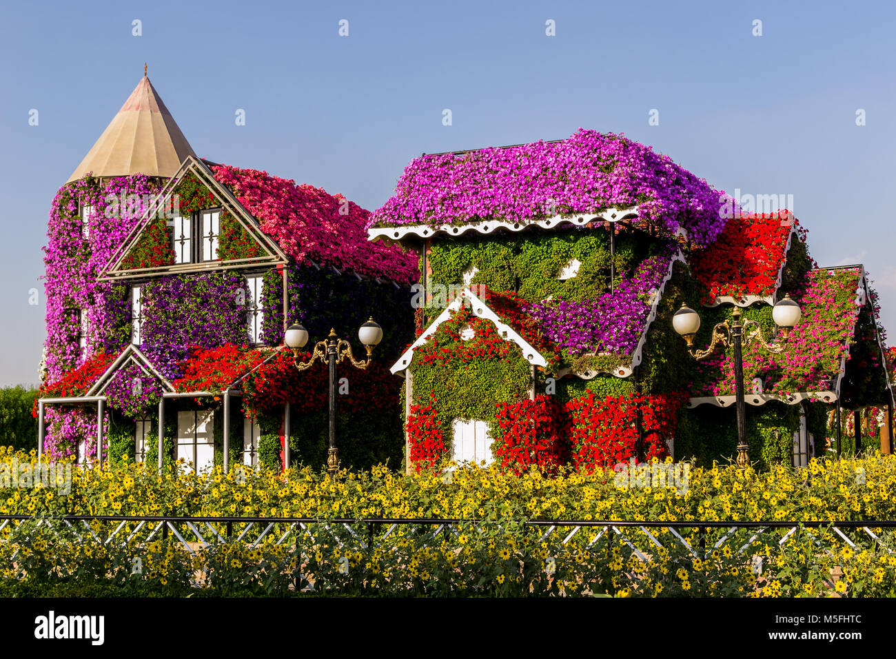 Dubai/UAE- Nov 17 2018: View of Miracle Garden in Dubai UAE Stock Photo ...