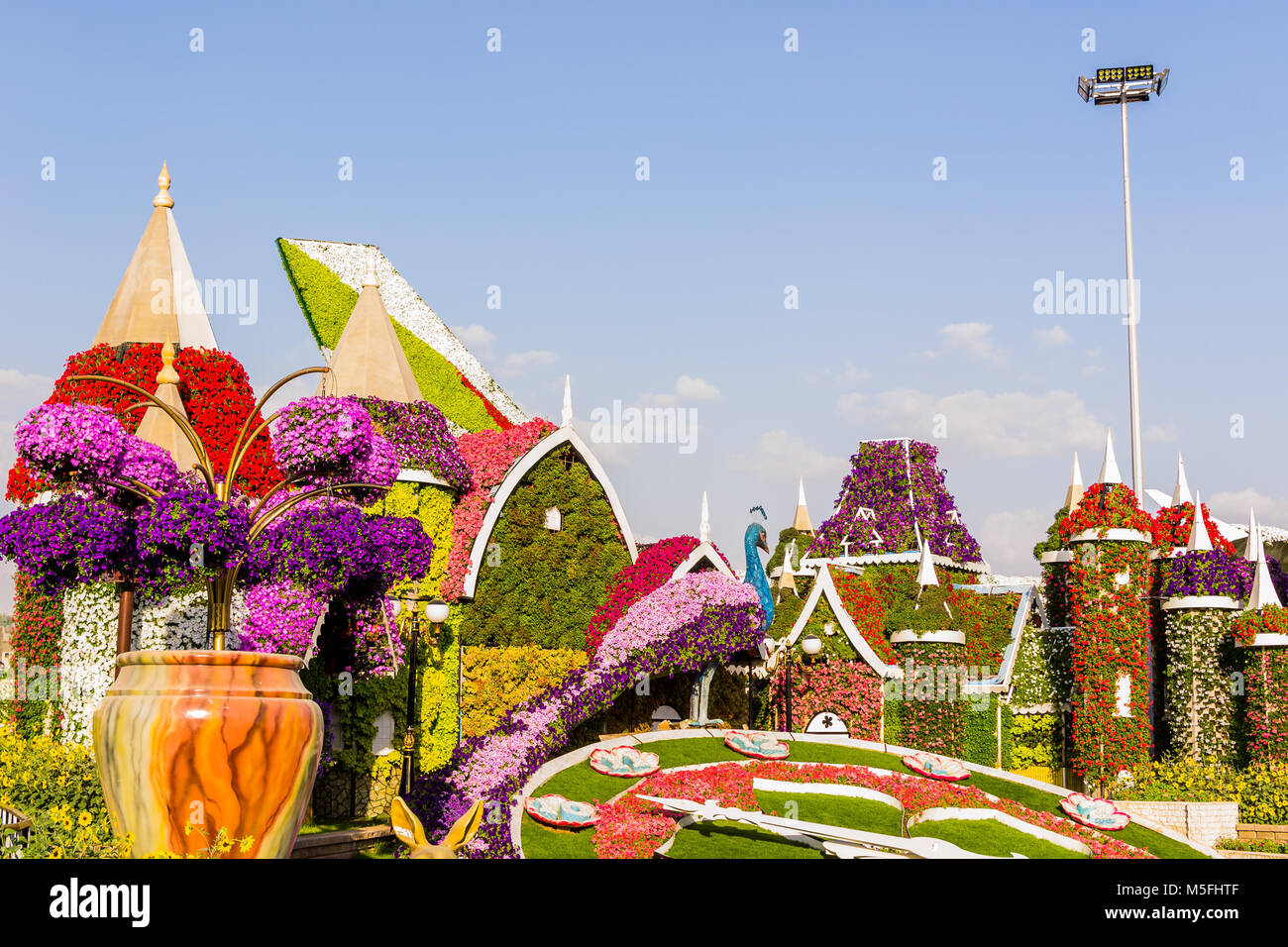 Dubai miracle garden view hi-res stock photography and images - Alamy