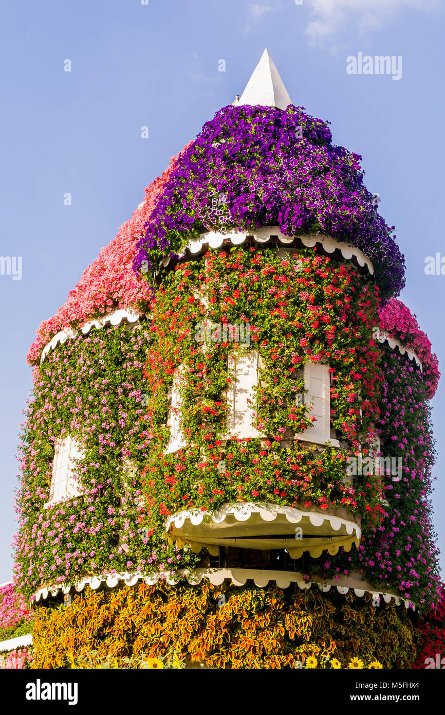 Dubai miracle garden view hi-res stock photography and images - Alamy