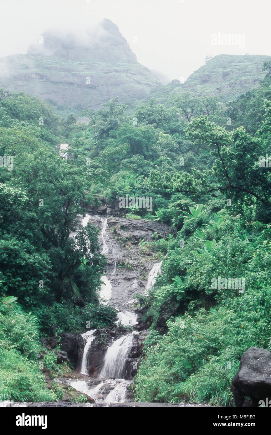 Rows of Waterfall and Greenery at Malshej Ghat, Maharashtra, India ...