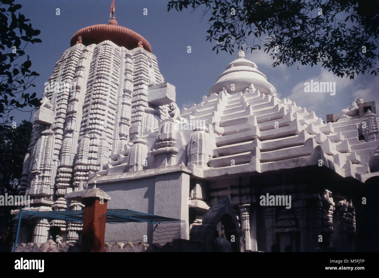 Kedar Gouri Temple in Bhubaneshwar, Orissa, India Stock Photo - Alamy