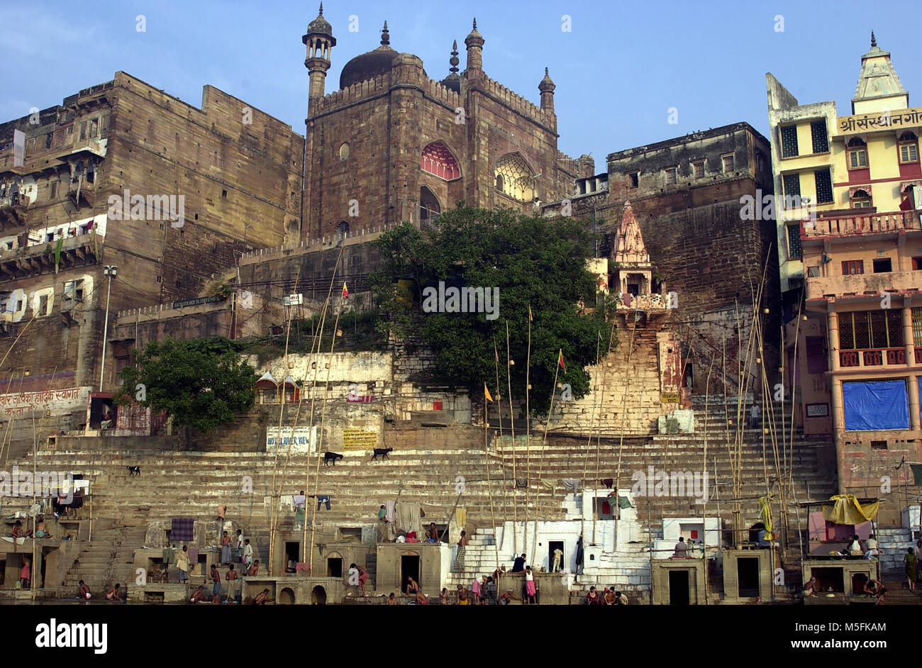 mosque and temple varanasi uttar pradesh, India, Asia Stock Photo - Alamy