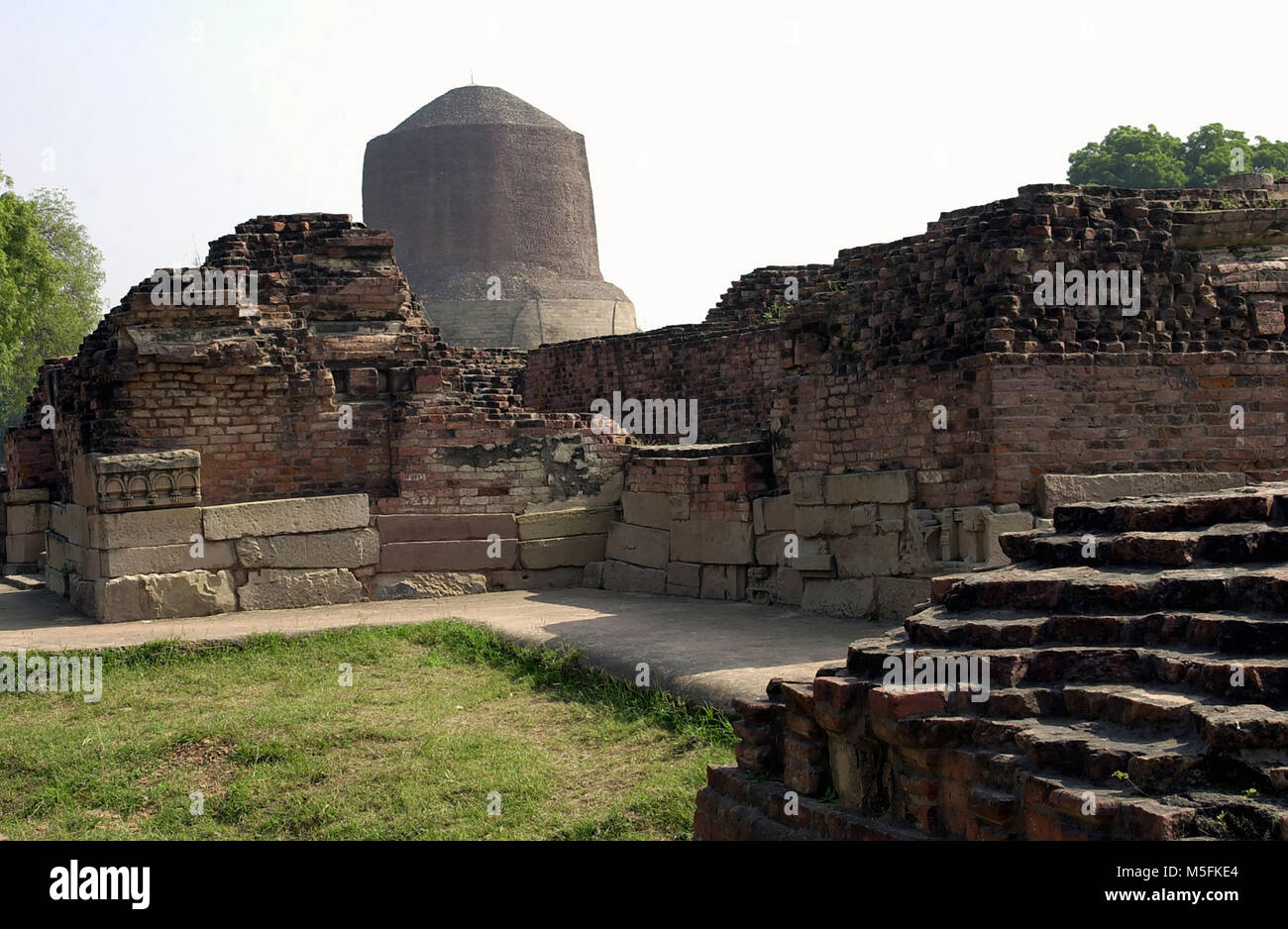 dhamekh stupa, sarnath, varanasi, uttar pradesh, India, Asia Stock ...