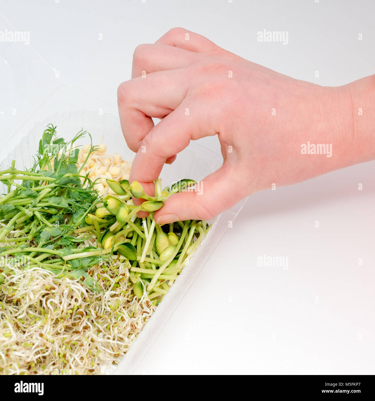 Woman growing radicchio hi-res stock photography and images - Alamy