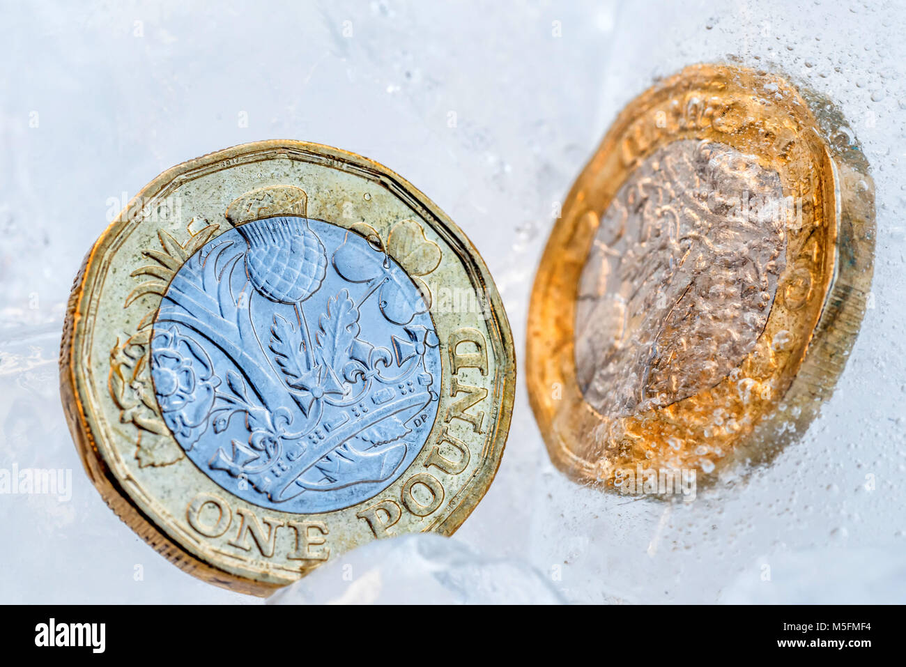 Frozen New British one pound sterling coin up close macro inside ice ...