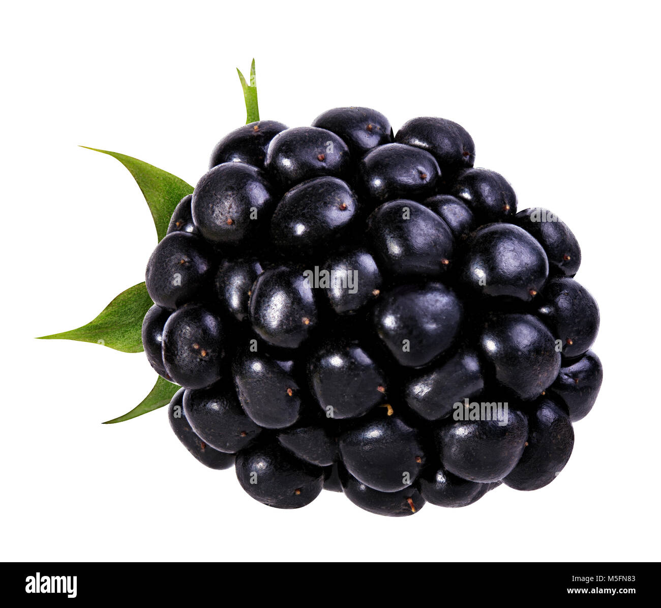 Blackberry isolated on white background clipping path Stock Photo - Alamy