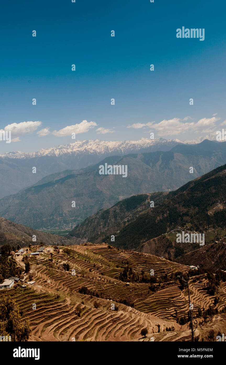 Terrace farming, Chamba, himachal pradesh, India, Asia Stock Photo - Alamy