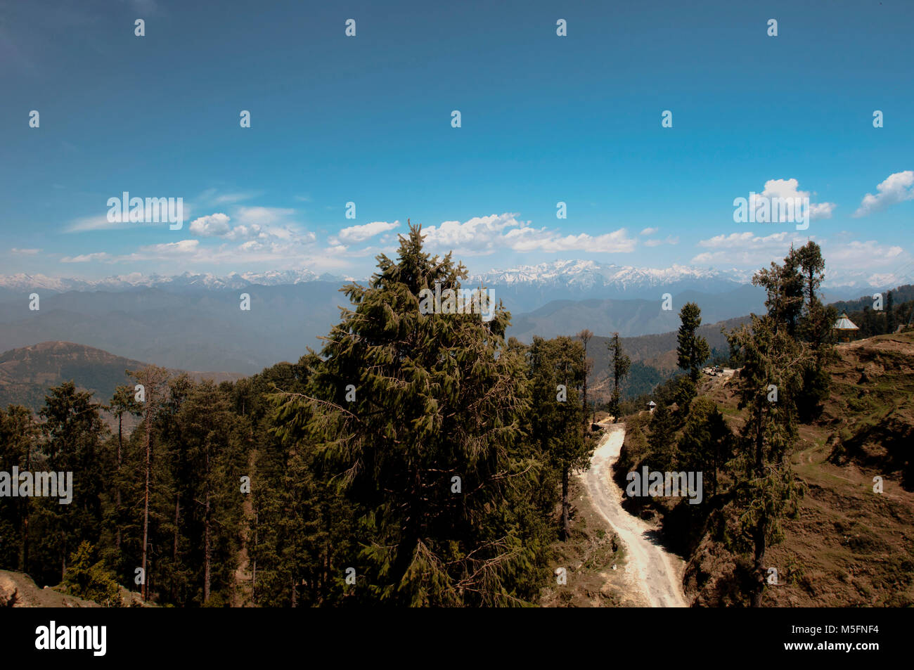 Road, Himachal Pradesh, India, Asia Stock Photo - Alamy