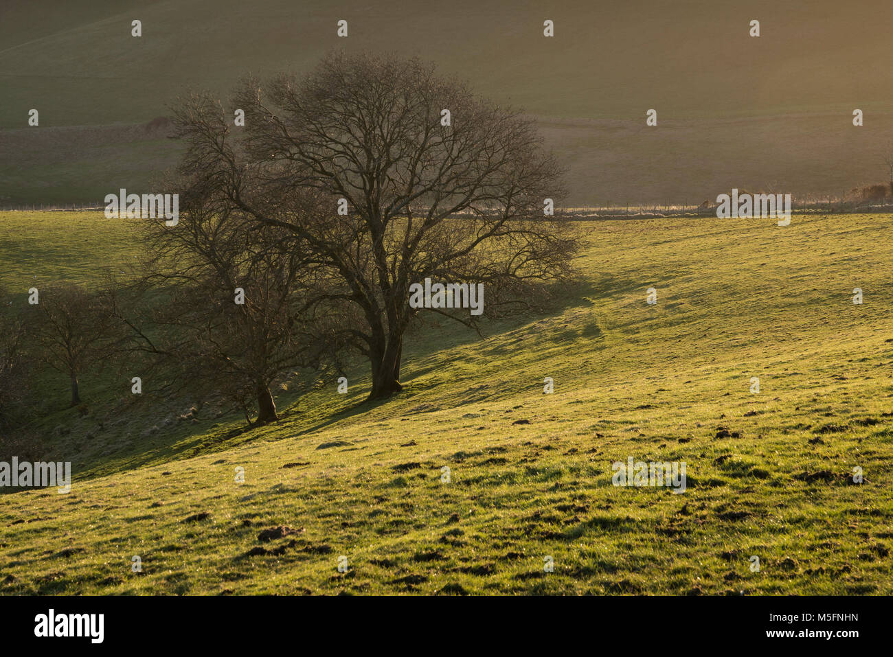Beautiful calm sunrise landscape image over English countryside ...