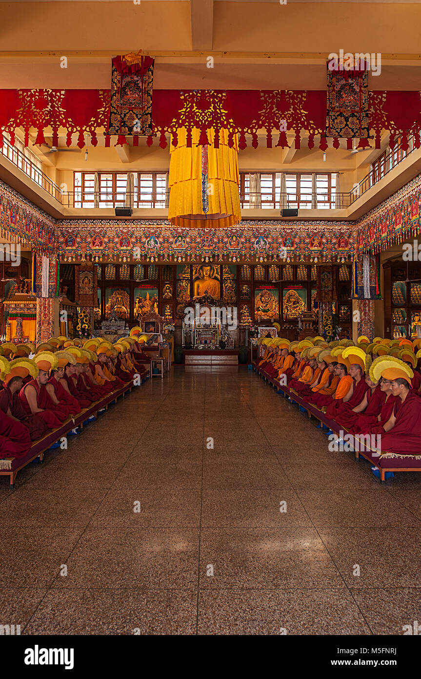 Gyuto Monastery, Dharamsala, Himachal Pradesh, India, Asia Stock Photo ...