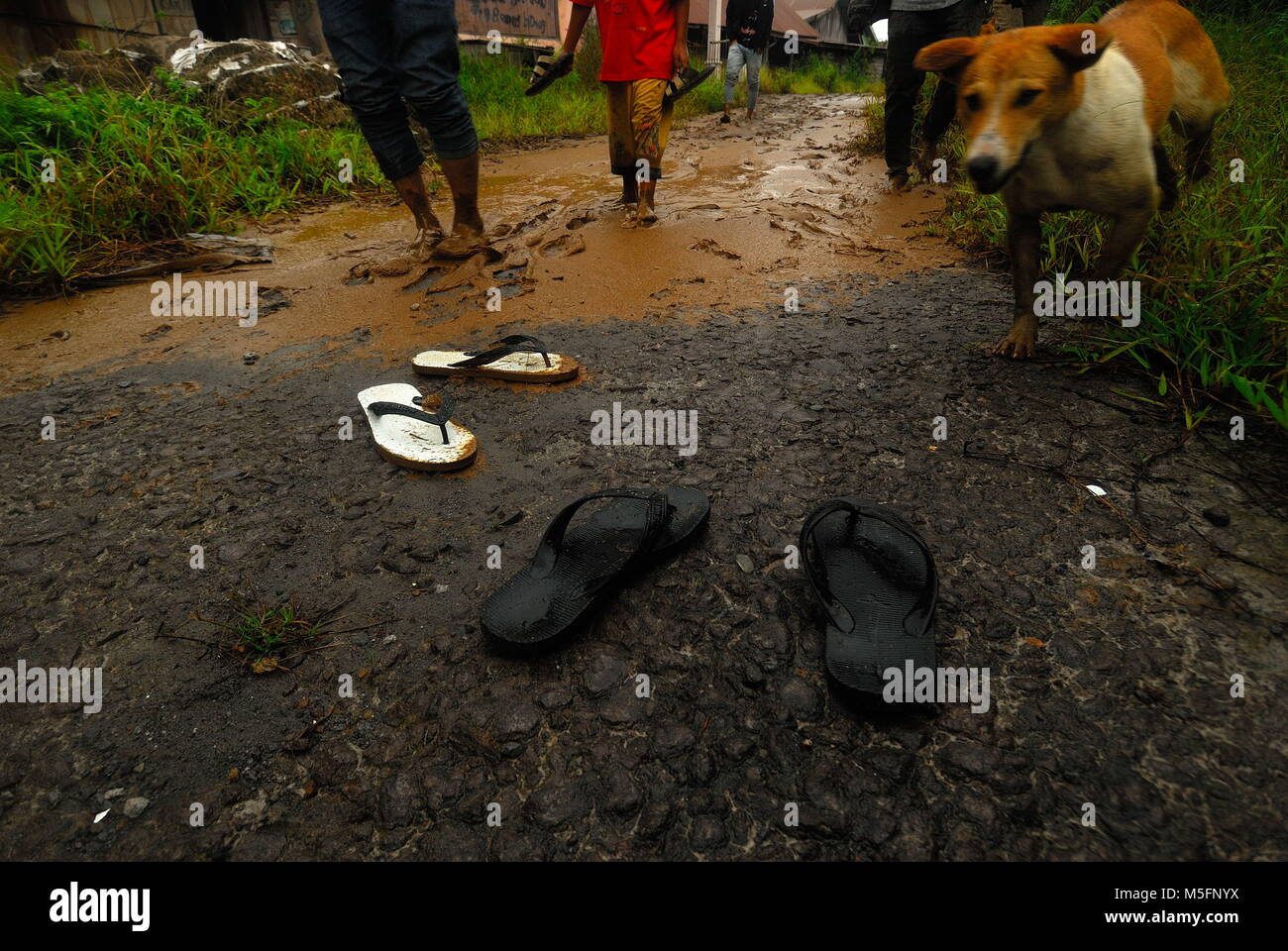 Sabirin hi-res stock photography and images - Alamy