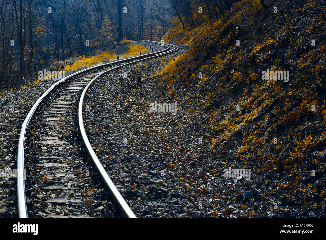 Smooth turning railroad tracks in autumn forest Stock Photo - Alamy