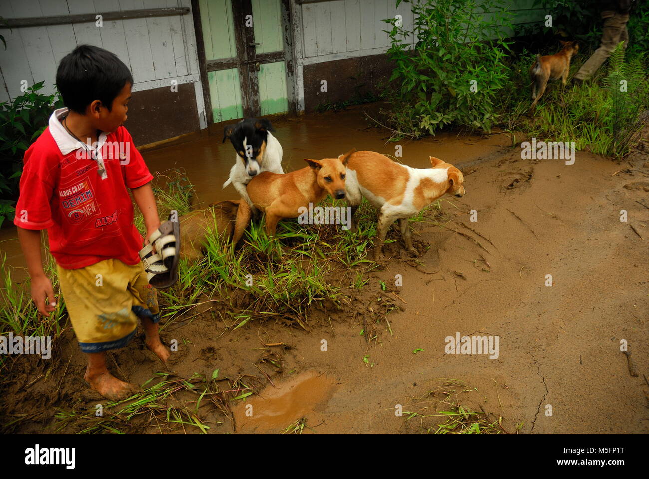 Indonesia. 23rd Feb, 2018. a child with his pet dog, was trying to ...