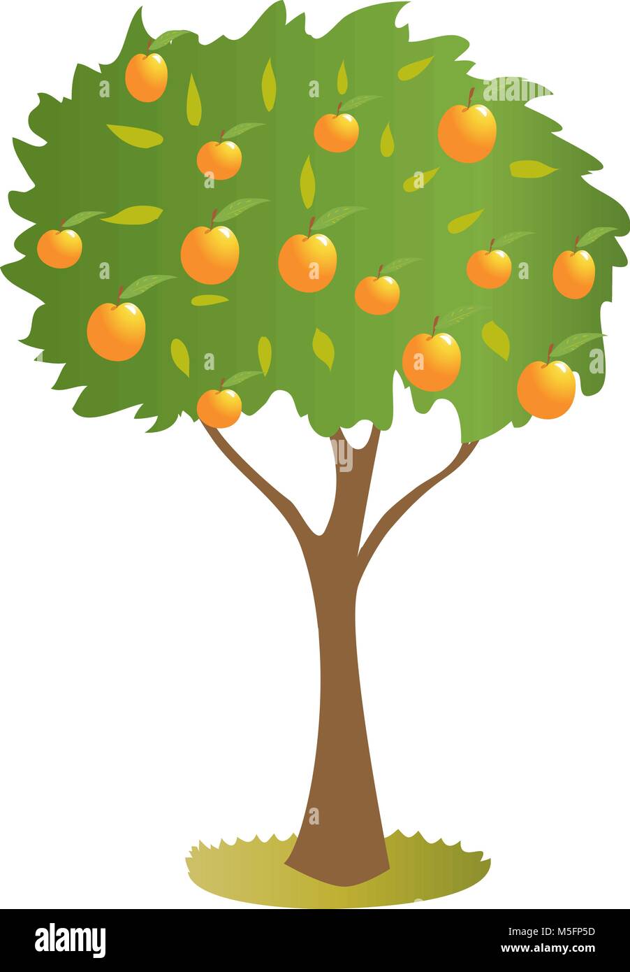 A cartoon peach tree Stock Vector Image & Art - Alamy