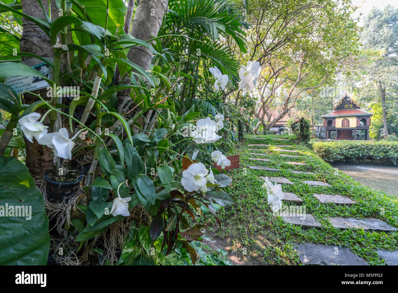 The suan pakkad palace hi-res stock photography and images - Alamy