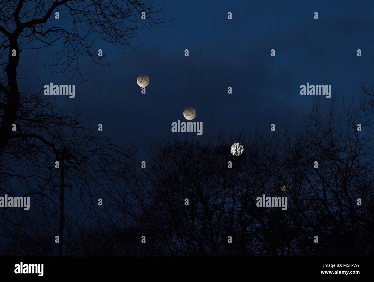 Four Moons Of The Night