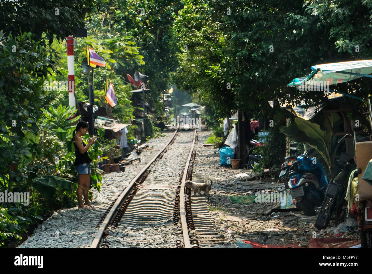 shacks inhabited by poor people on the edge of the railroad tracks in ...